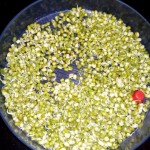 Moong Dal Sprouts Dosa Recipe for Kids - My Little Moppet