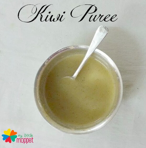 40 Healthy Kiwi Fruit Recipes for Babies and Kids