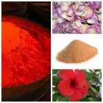 7 Eco Friendly Homemade Holi Color Powder Recipe - My Little Moppet
