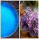 7 Eco Friendly Homemade Holi Color Powder Recipe - My Little Moppet
