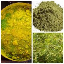 7 Eco Friendly Homemade Holi Color Powder Recipe - My Little Moppet