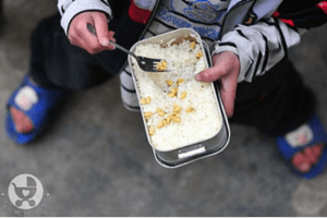8 Sneaky Ways to Ensure that Children Eat their School Lunches