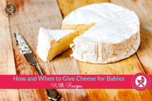 Can I give my Baby Cheese, Paneer or Cottage Cheese?
