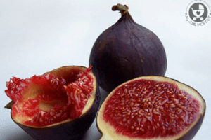 Can I give my Baby Figs?