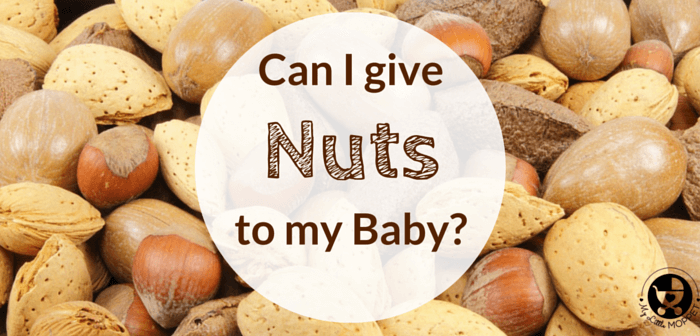 Can I give my Baby Nuts?