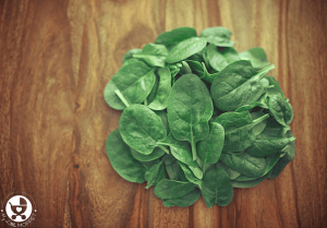 15 Surprising Sources of Calcium other than Milk