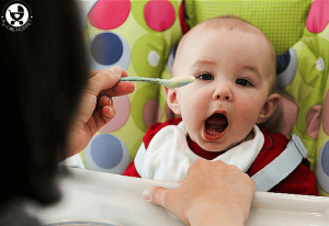 7 Easy Ways to Help your Toddler Chew Food