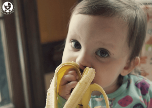 7 Easy Ways to Help your Toddler Chew Food