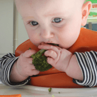30 High Fiber Foods for Babies and Toddlers