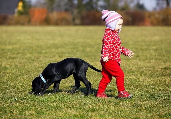Bringing a Dog Into a Home with Children: How To Do It Successfully