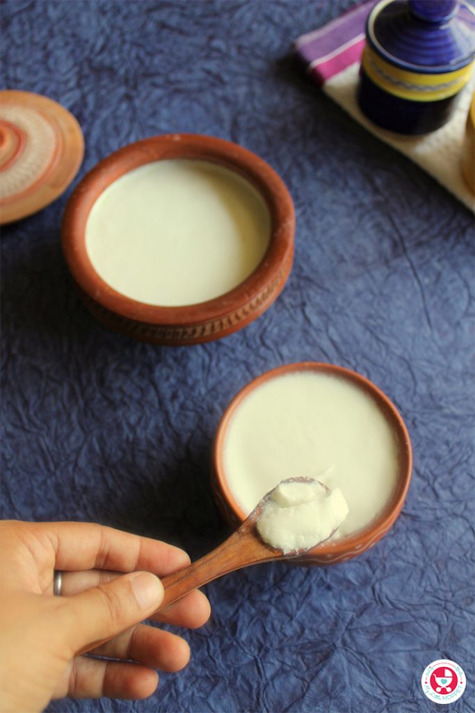 Homemade Curd - Simple procedure of making curd