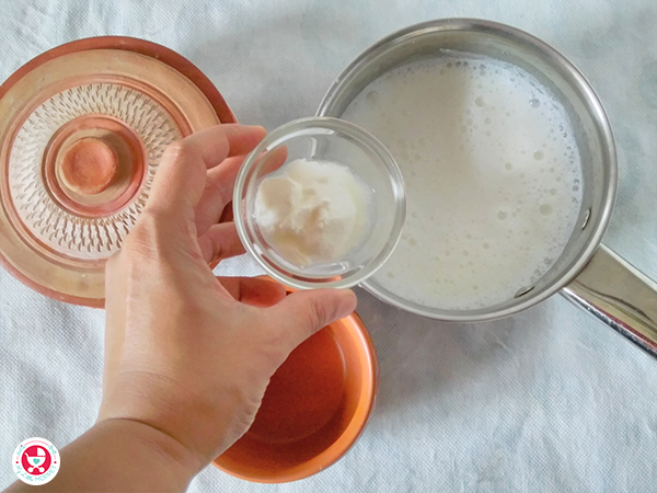 Homemade Curd - Simple procedure of making curd