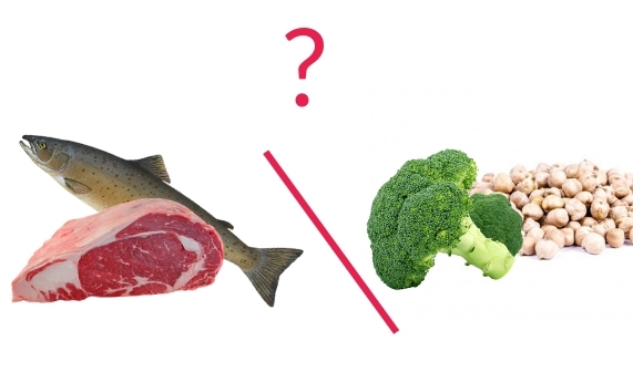 The Best Protein Sources for Babies and Kids - Plant and Animal Based