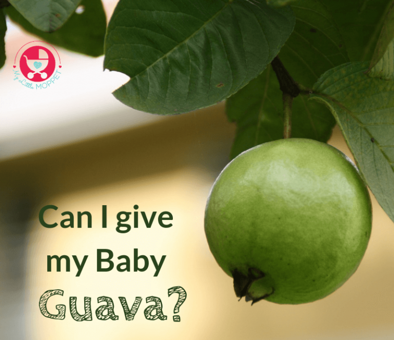 Can I give my Baby Guava?