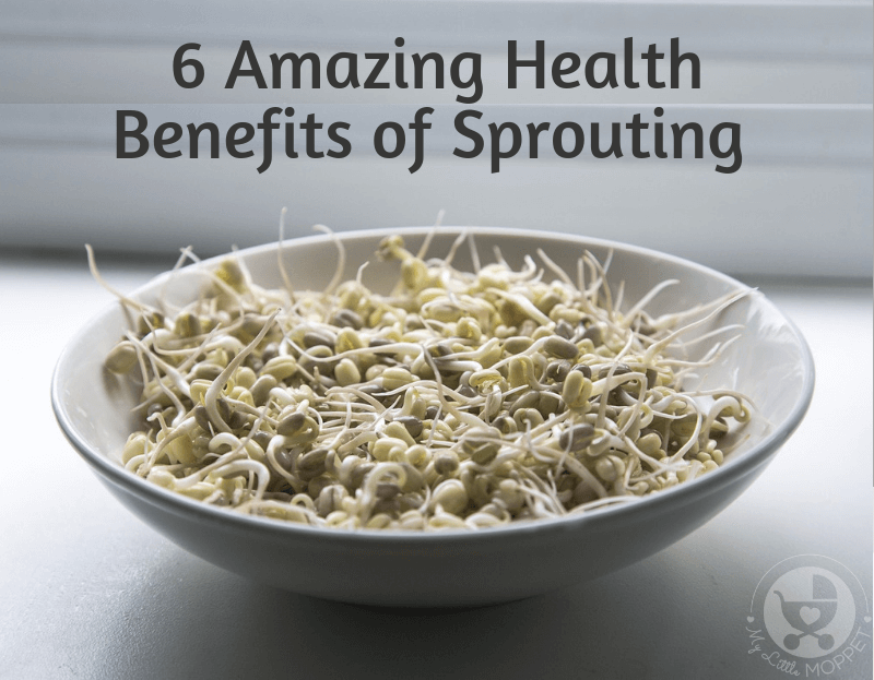6 Amazing Health Benefits of Sprouting